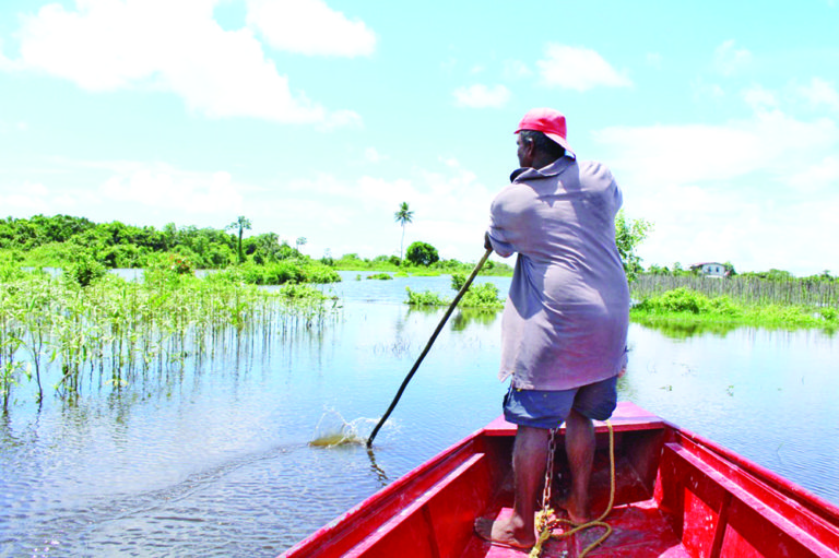 “This flood take everything from us, everything” – Abary River farmer ...