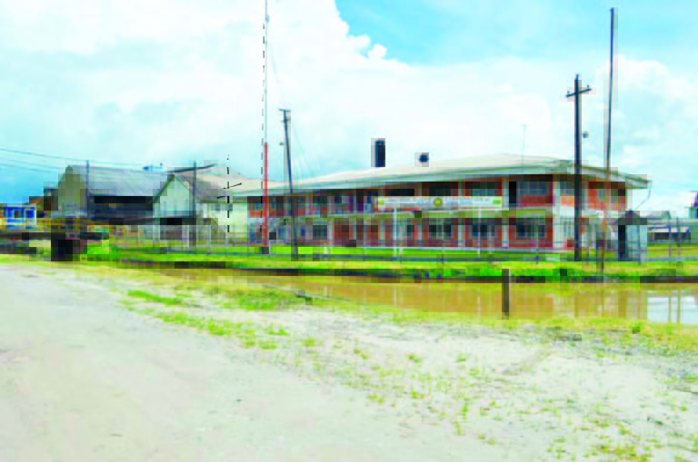 Restructuring of GuySuCo 40% complete – Agriculture Minister - Guyana Times