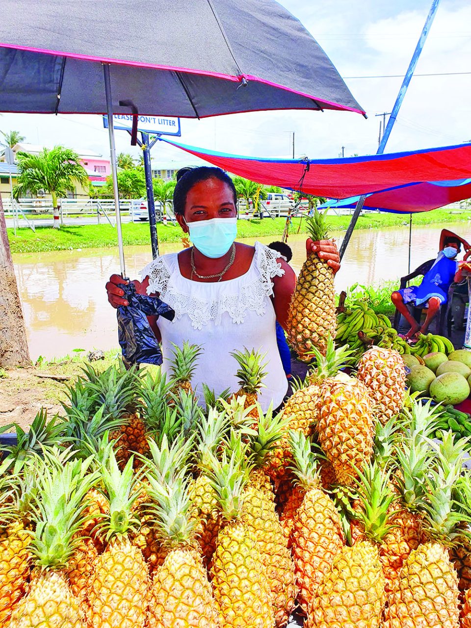 Pineapple vending helping Capoey Village, Mainstay/Whayaka women out of ...