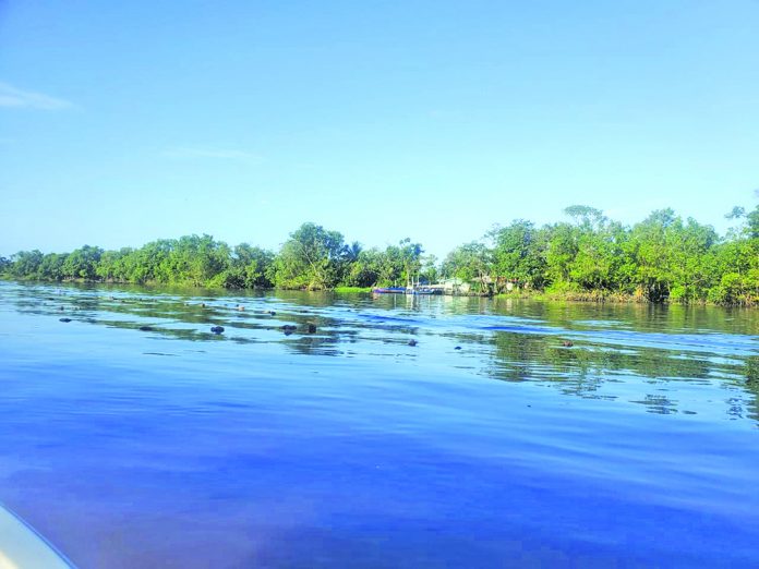 Improper garbage disposal continues in Pomeroon River - Guyana Times