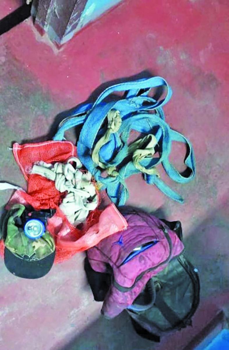 Alleged cow thief abandons animal upon seeing Police - Guyana Times