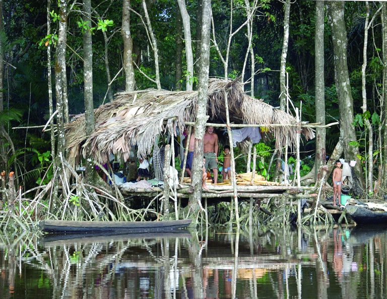 Understanding the earliest inhabitants: Pre-historic Warau of Guyana ...