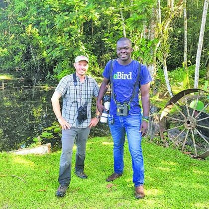New species of birds recorded in Guyana - Guyana Times
