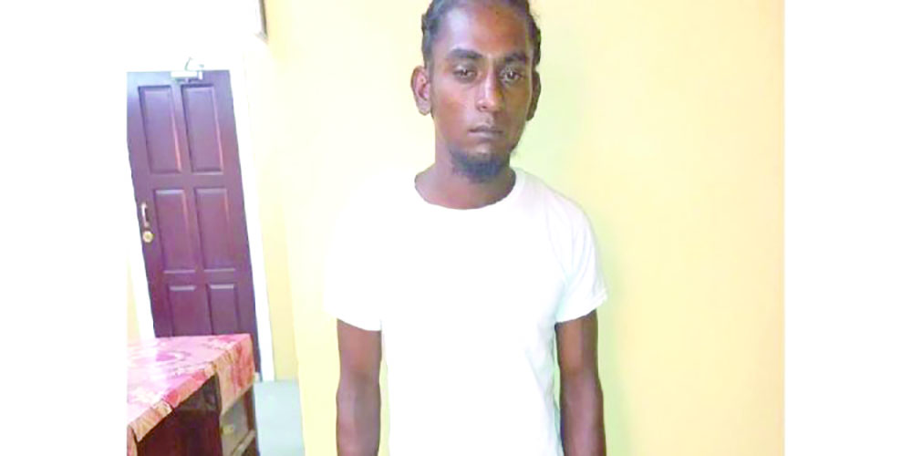 Labourer jailed for robbing ECB resident - Guyana Times