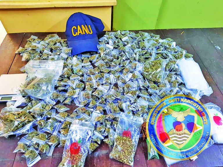 CANU unearths ganja in packets at abandoned house - Guyana Times