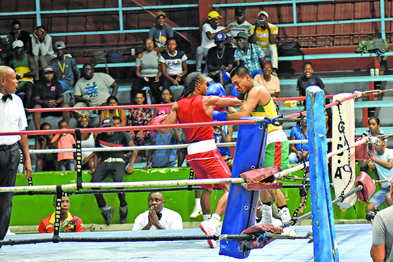 Mental preparation key for boxing restart – Ninvalle - Guyana Times