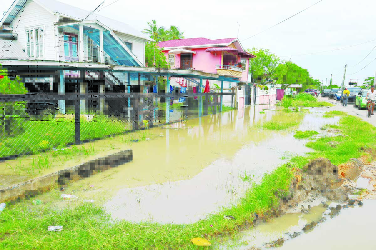 Govt deploys pumps to relieve flooding in Reg 3 - Guyana Times