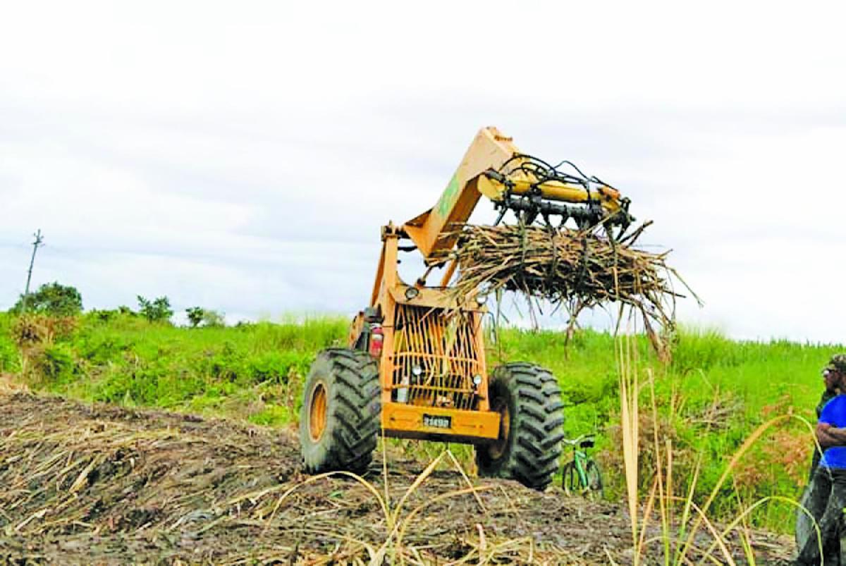 GuySuCo produced 58,000 tonnes of sugar for 2021 despite floods ...