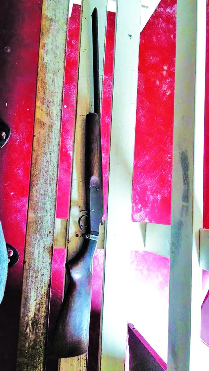 Man gets 2 years for unlawful possession of gun, ammo - Guyana Times