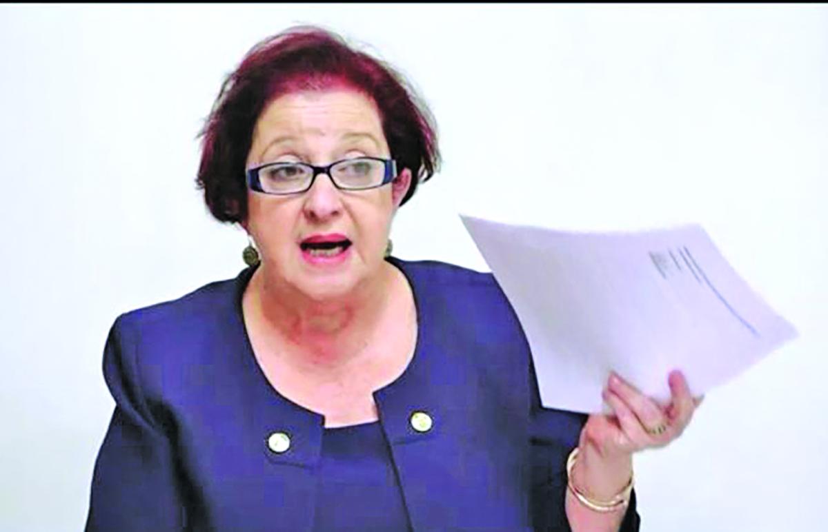 Discipline of MPs in Mace grab scandal, appointments to constitutional ...