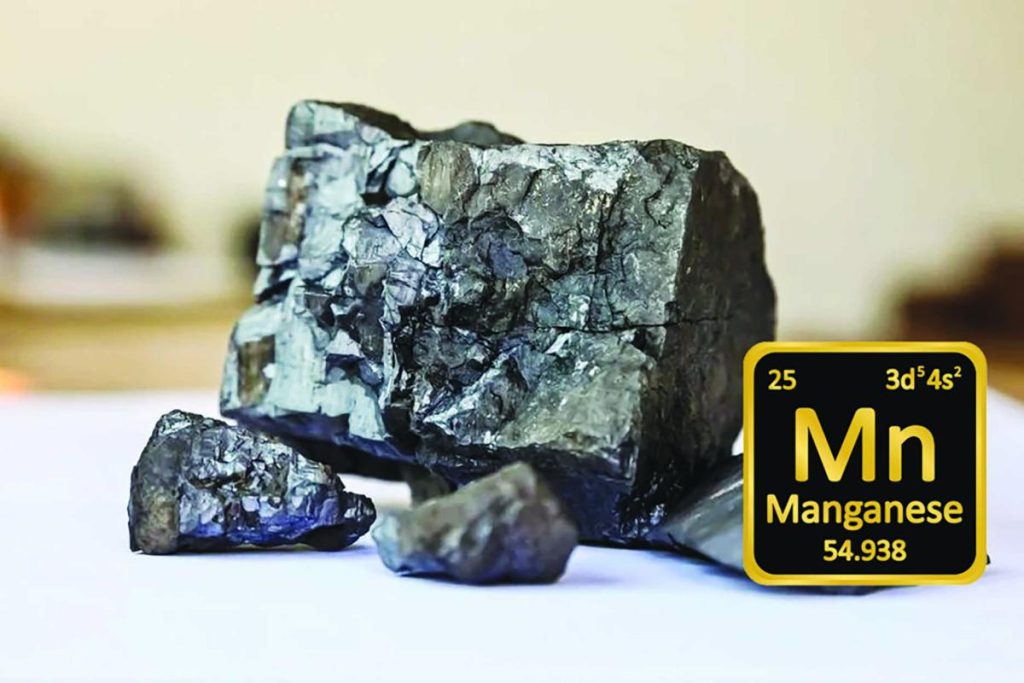 1st manganese shipment from Port Kaituma slated for March - Guyana Times