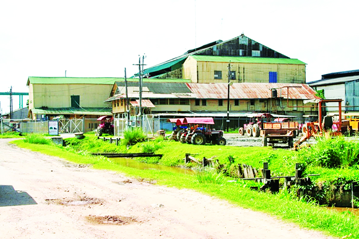 Govt examining new proposals for diversification at Skeldon Estate ...