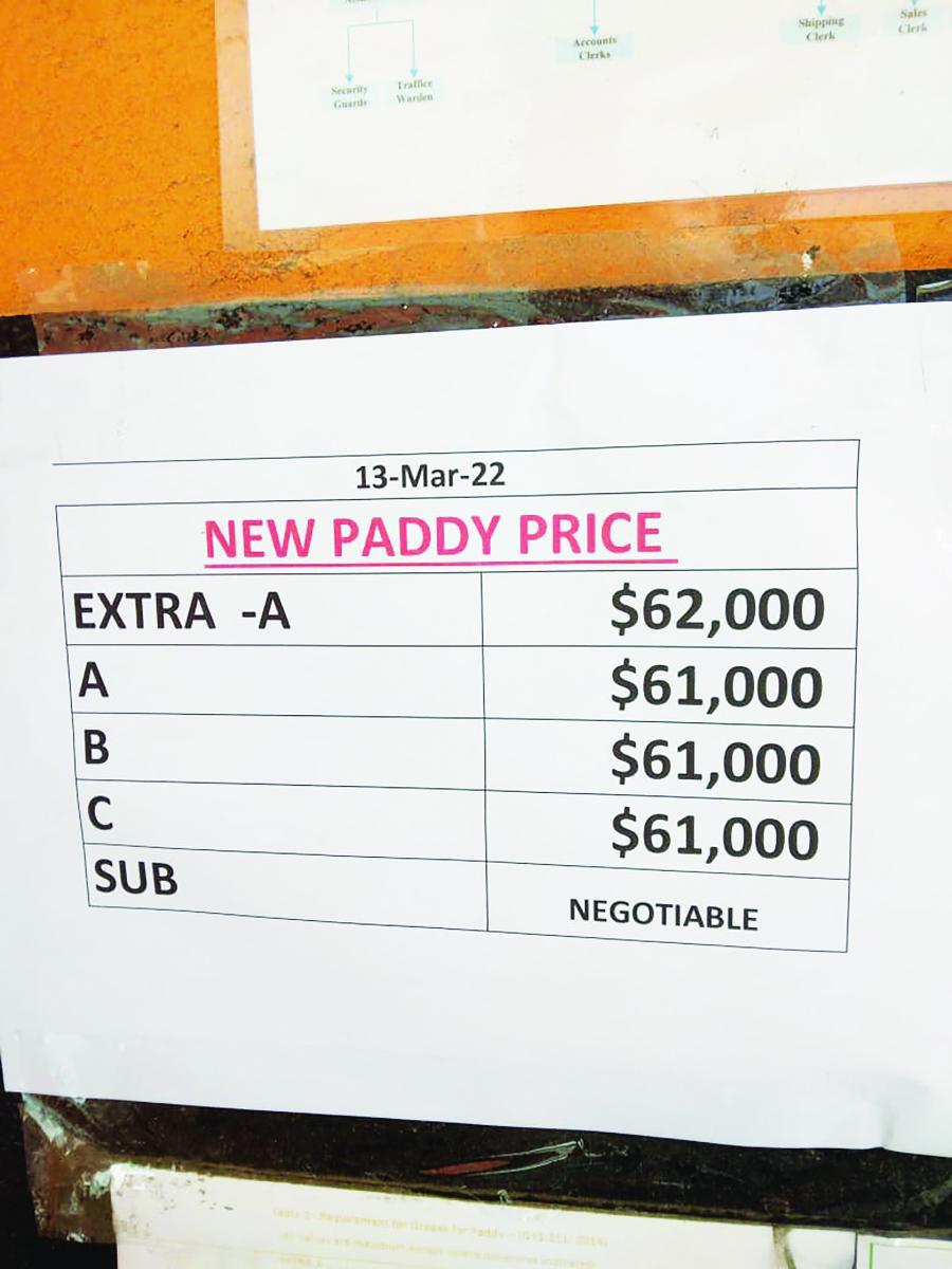 Despite assurances to Govt: Corentyne rice millers reduce paddy prices ...