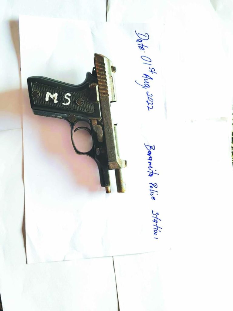 Pork-knocker leads Police to illegal gun - Guyana Times