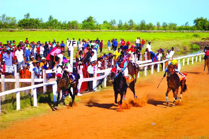 Kennard Memorial Horse Meet: Jagdeo Racing Stables dominate, as Wild ...