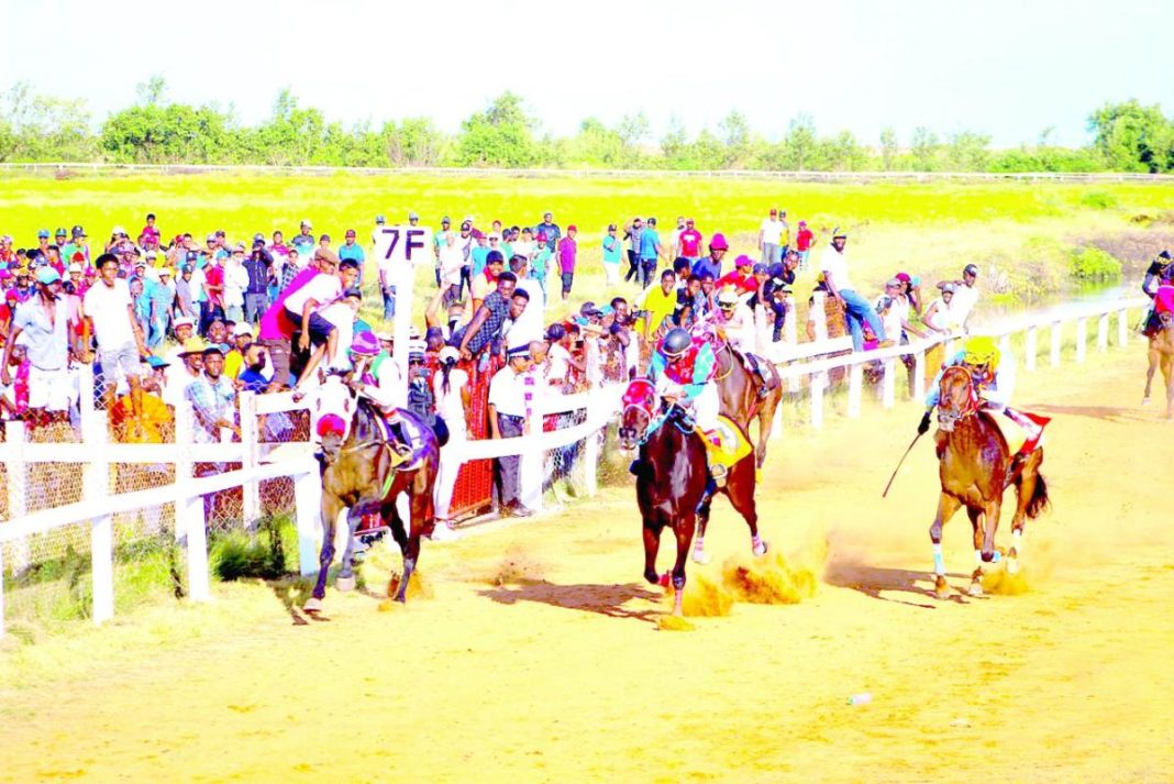 President’s Cup: 9 races on card for Sunday’s meet - Guyana Times