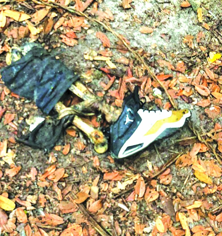 Burnt human remains found at Yarrowkabra - Guyana Times