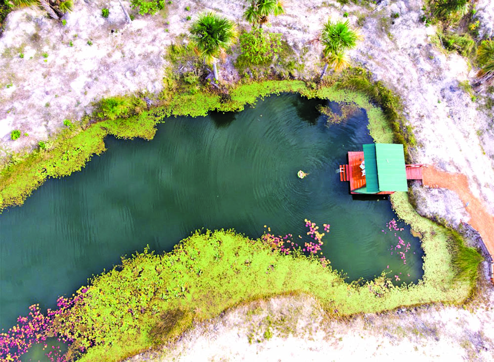 The Rupununi ranching experience - Guyana Times