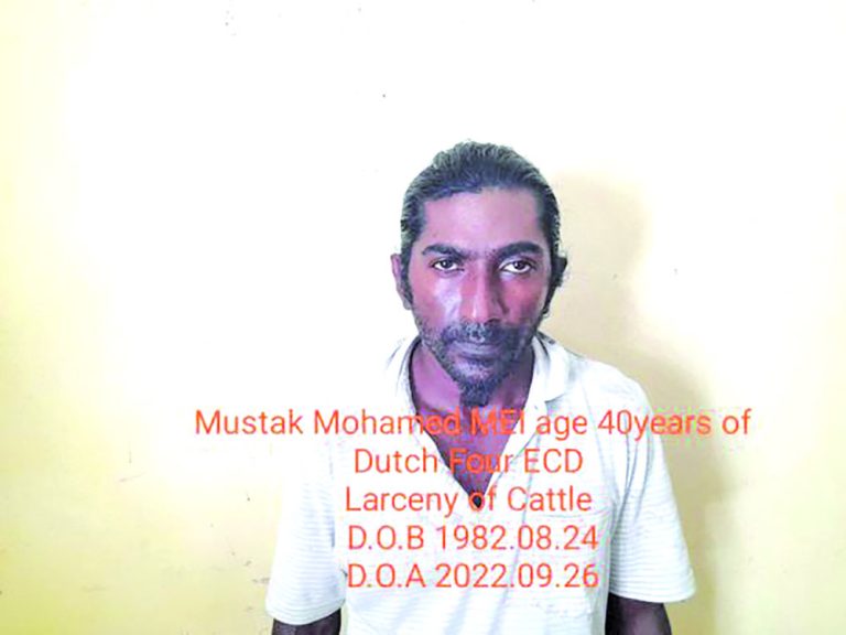 Two men jailed for theft of cattle - Guyana Times