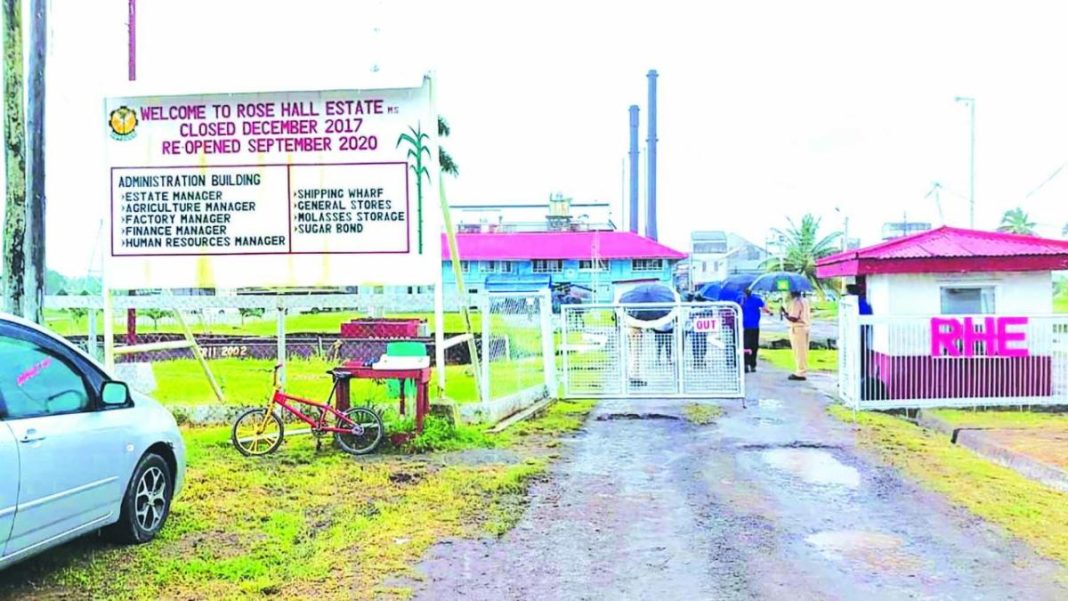 Rose Hall Estate seeking to employ over 1000 persons - Guyana Times