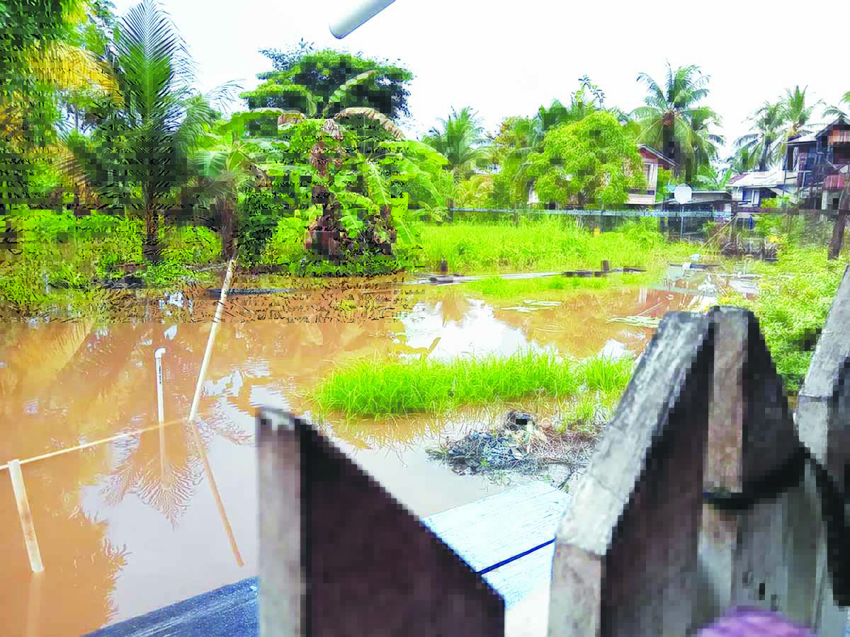 Heavy downpour causes major flooding in Charity - Guyana Times
