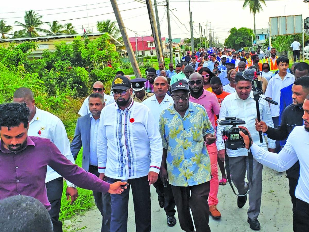 Pres Ali urges farmers to put all arable lands in Den Amstel, WCD to ...