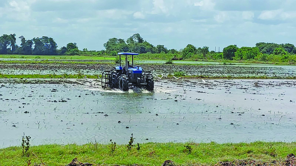 Only 90% of rice harvested as 2023 spring crop begins in Berbice ...