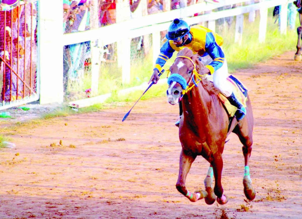 Jumbo Jet Racing Stables dominate feature event at Kennard's Memorial ...