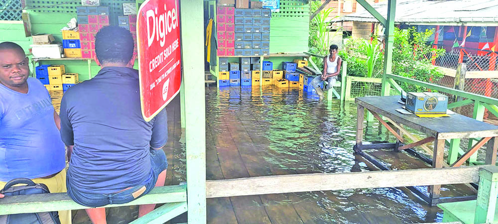 Assessment team visits Region Seven amid severe flooding - Guyana Times