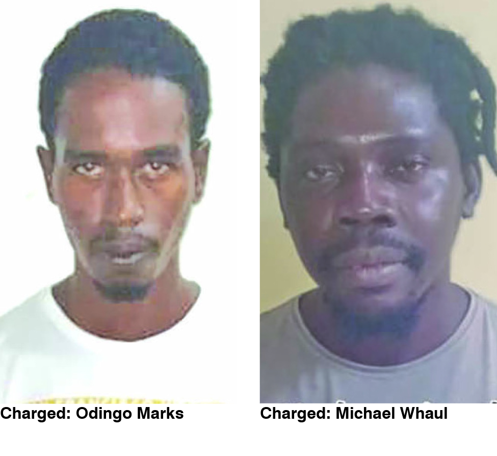 Essequibo Coast duo charged for narco trafficking - Guyana Times