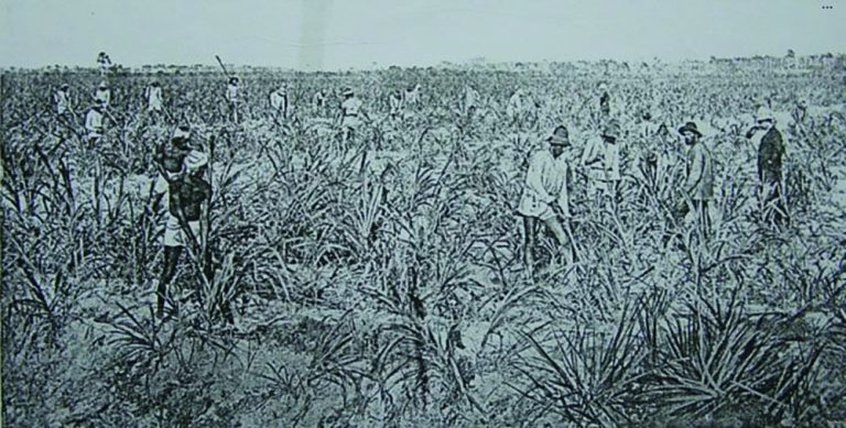 Celebrating 170 Years of Chinese Arrival in Guyana - Guyana Times