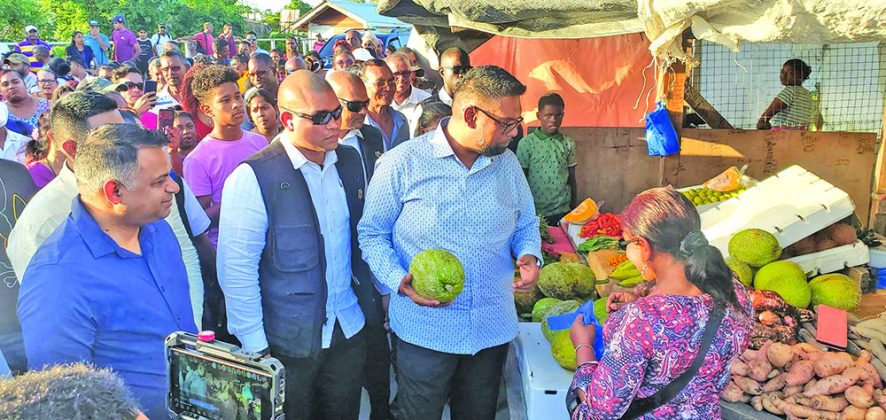 Capitalise on residential land space for agri production – President ...