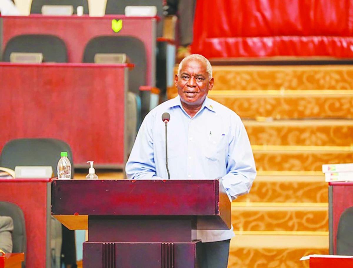 New plague of ‘disorderly’ crime needs more attention – Benn - Guyana Times