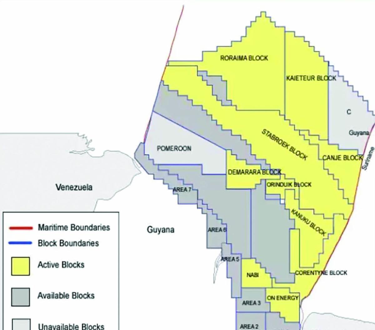 Govt in talks with Middle Eastern, European companies on bidding for ...