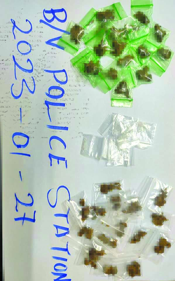 Mon Repos man caught with ganja, Molly - Guyana Times