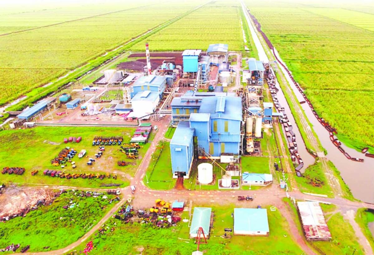 Rose Hall Sugar Estate expected to be reopened later this year – Min ...