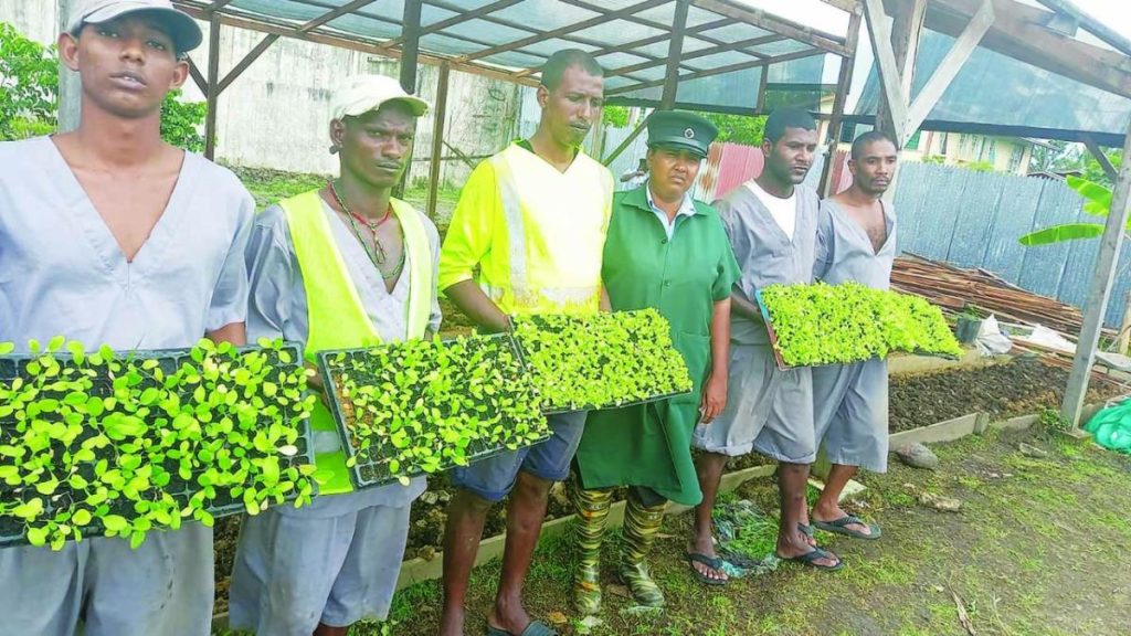 NAREI donates plants to Prison Service - Guyana Times