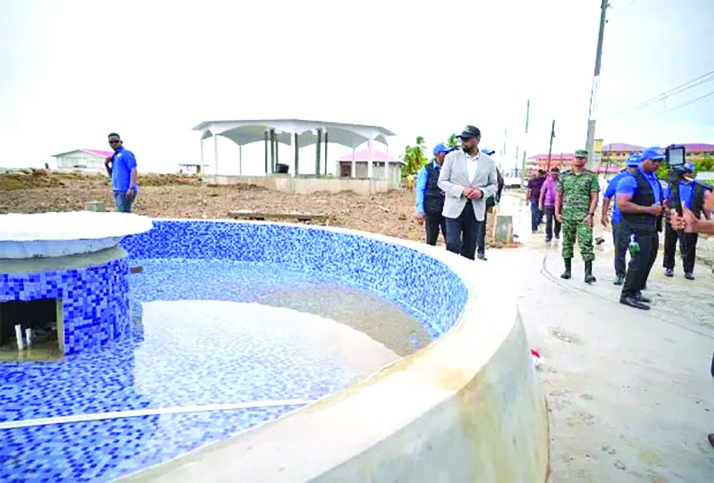 Skeldon ‘Green Space’ project moving apace - Guyana Times