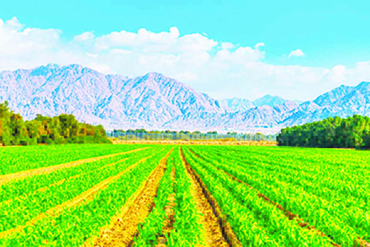 Govt collaborating with Israel to boost food production - Guyana Times