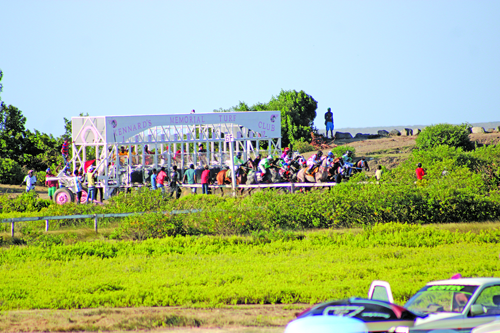 Bossalina wins feature event at Kennard’s Memorial Turf Club - Guyana Times
