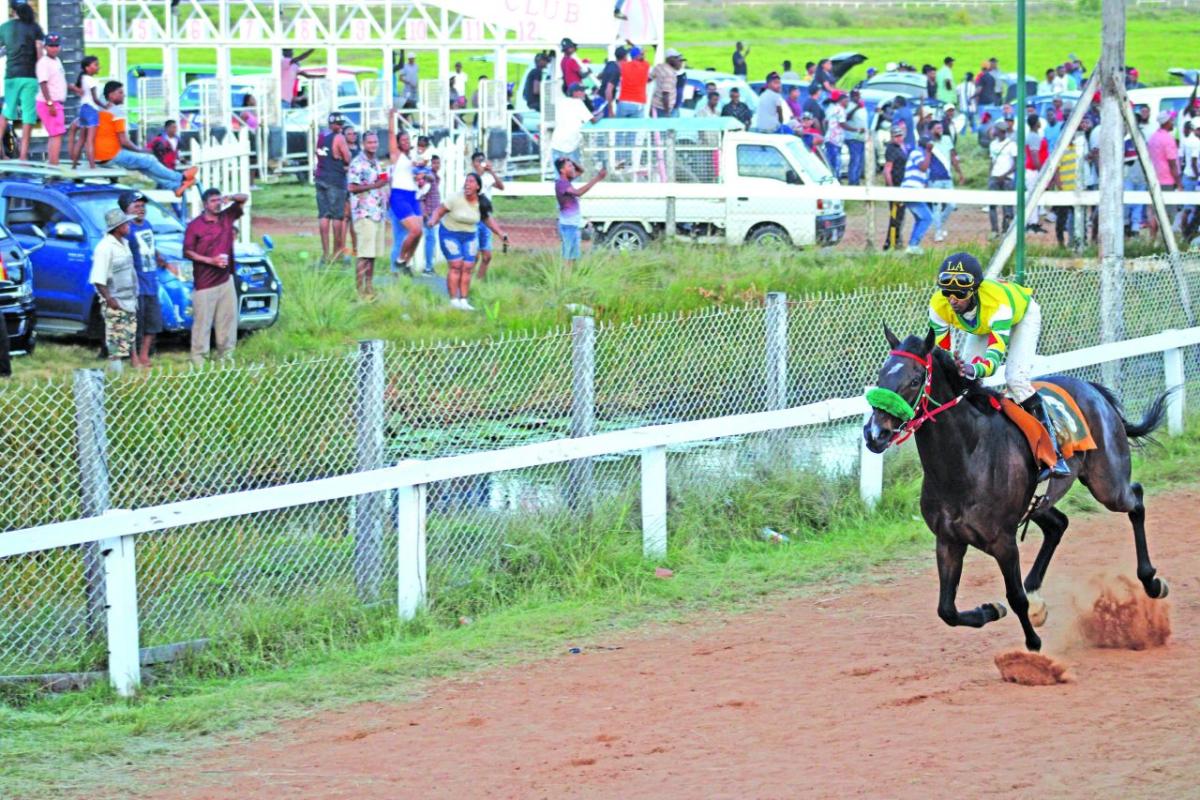 Bossalina wins feature event at Kennard’s Memorial Turf Club - Guyana Times
