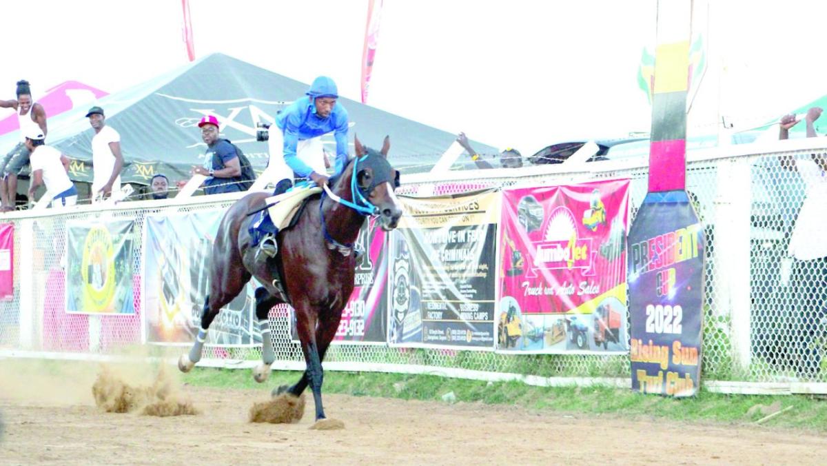 Guyana Cup winner among entries confirmed for PMTC Easter Sunday horse ...