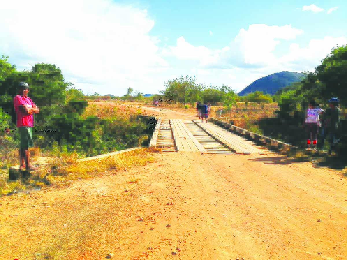 Farmer dies after falling off bridge in Region 9 - Guyana Times