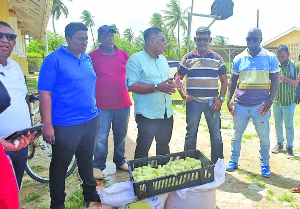 Corentyne schools receive broiler chicken from Agri Ministry - Guyana Times