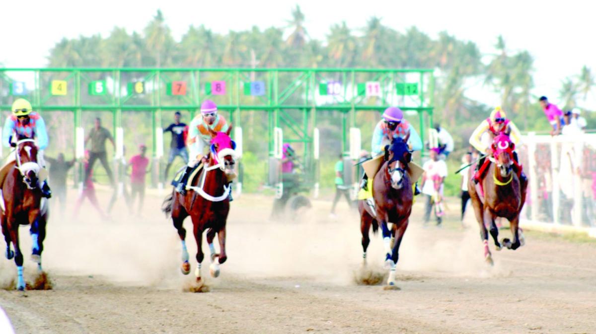 Developments in local horse-racing: Jockey caught with prohibited ...