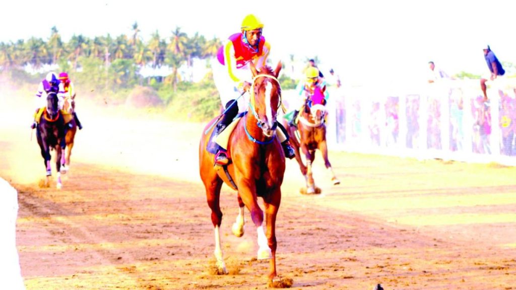 Guyana Cup winner among entries confirmed for PMTC Easter Sunday horse ...