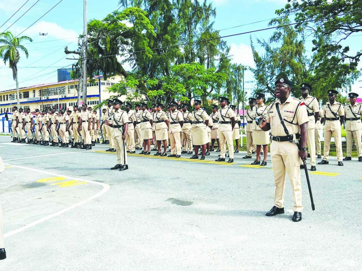 Defence Diplomacy Unit to be launched soon – Ali - Guyana Times