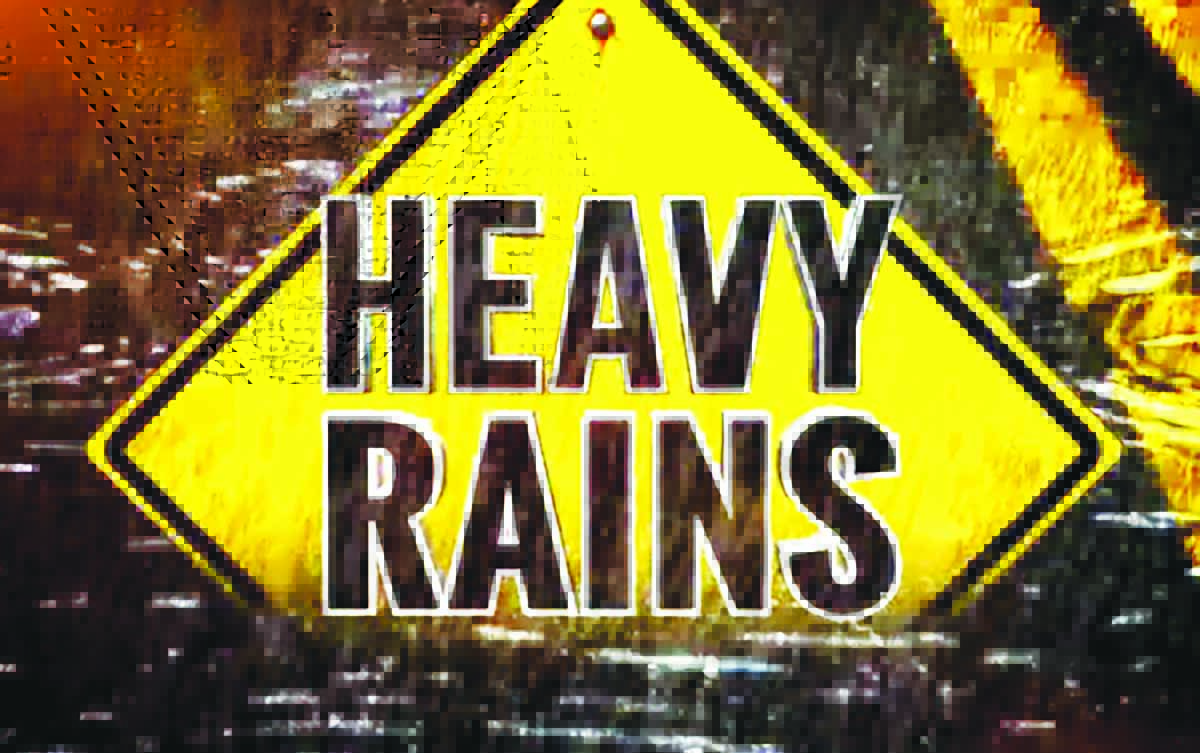 Practise proper hygiene, vector control, food measures amid rainy ...
