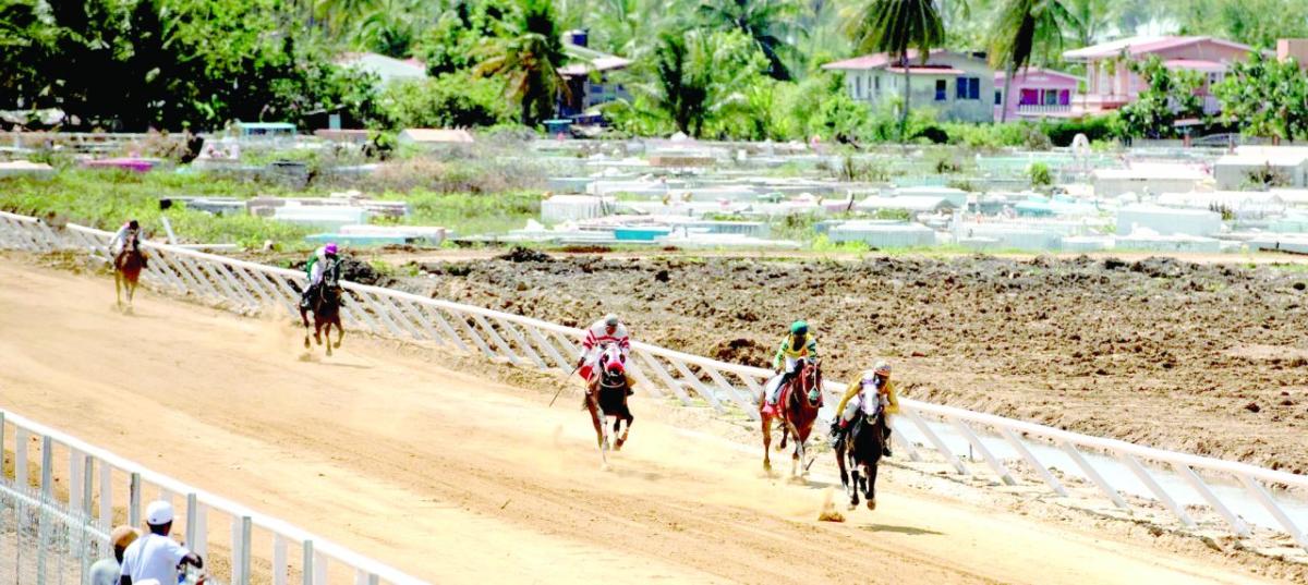 Developments in local horse-racing: Bush Lot’s new all-weather track ...