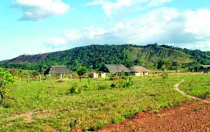 Land titling: 20% of Guyana’s lands to be owned by Indigenous ...